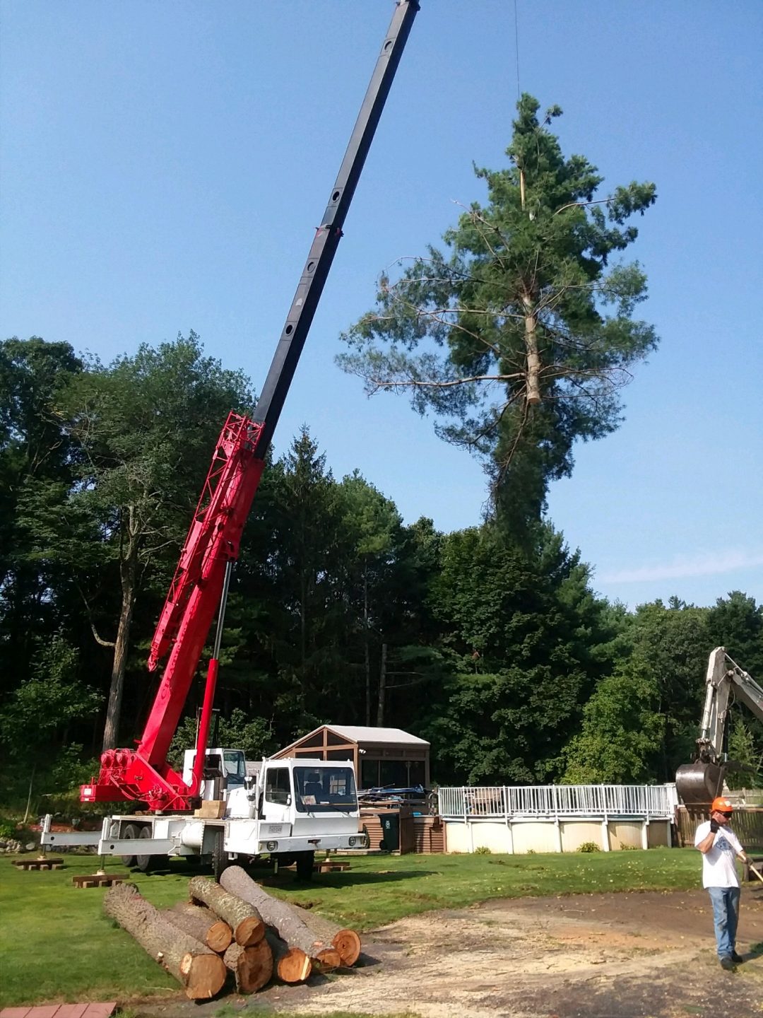 Tree Service | Martel Crane Service & Tree Removal