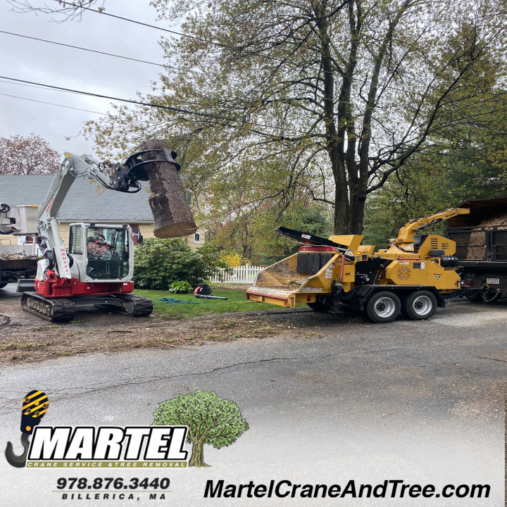 Tree Removal and Crane Service in Wilmington, MA | Martel Crane Service ...